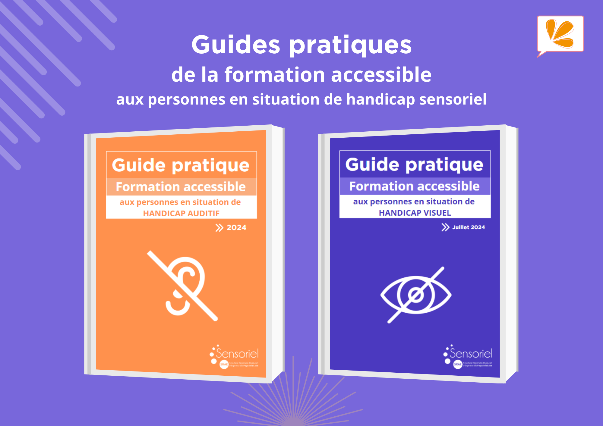 Guides pratiques de la formations accessible pour les déficients ...